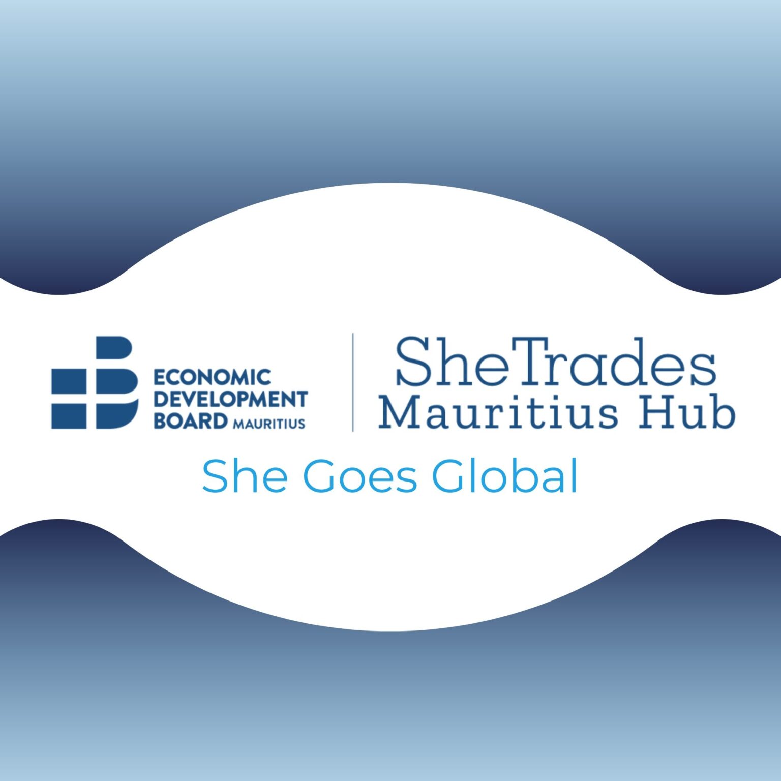 SME Mauritius Ltd | Empowering Entrepreneurship & Supporting SME Growth ...